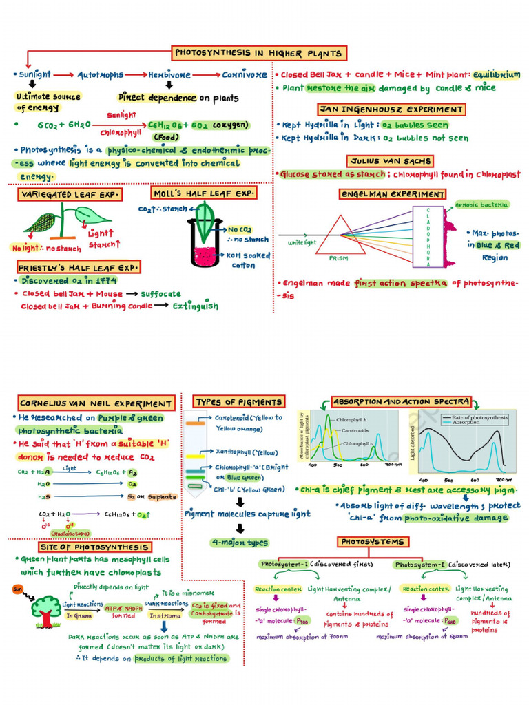 Abcdefg | PDF