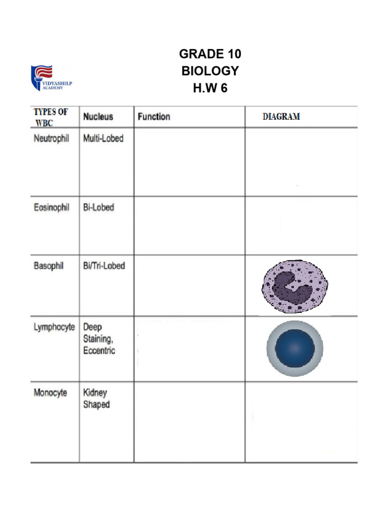 GRADE 10 H | PDF