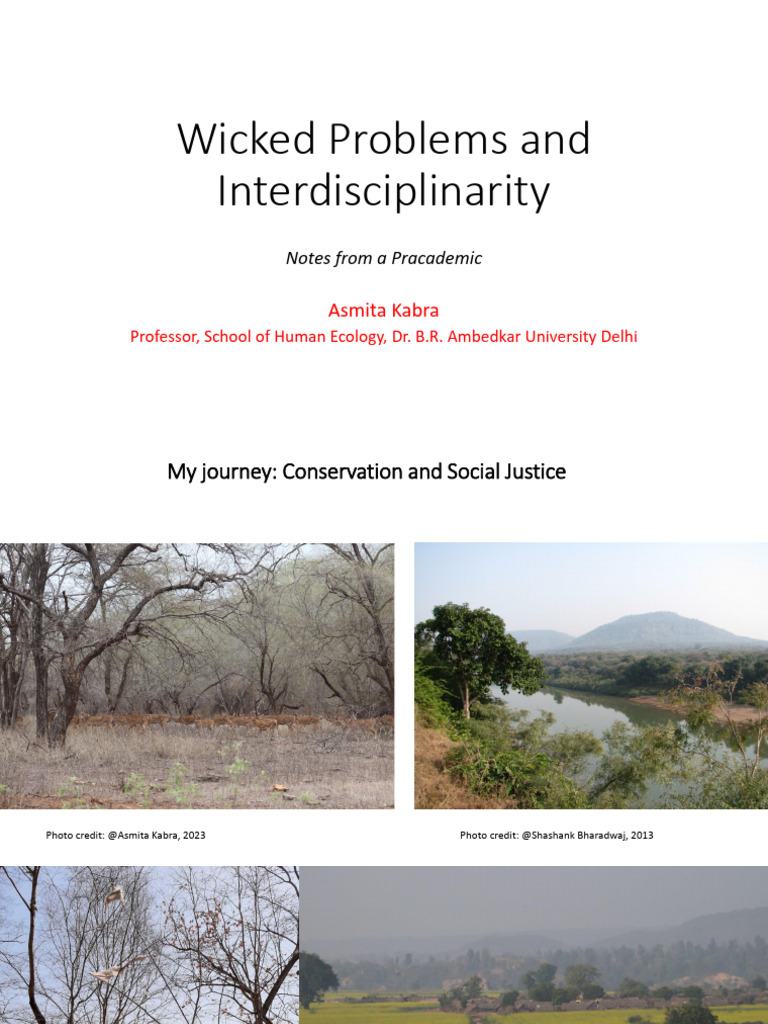 Wicked Problems in Interdisciplinary Education | PDF ...