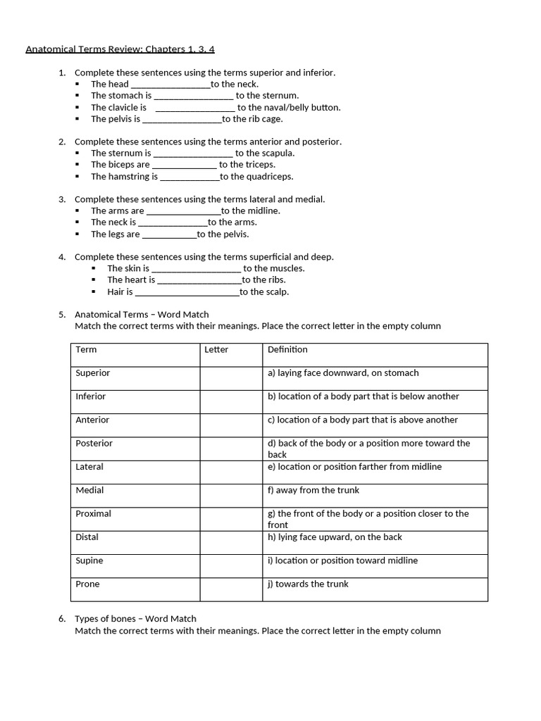 Anatomical Terms Review Worksheet Chapters 1, 3, 4 | PDF | Anatomical ...
