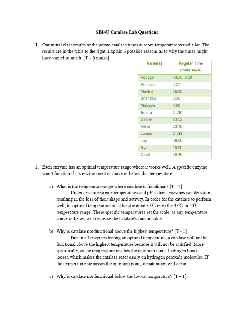 Catalase Lab Questions and Analysis | PDF | Catalase | Denaturation ...