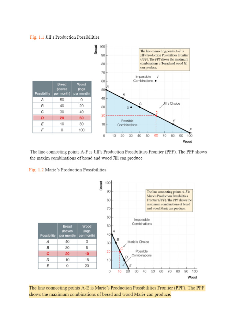 Econ Micro | PDF