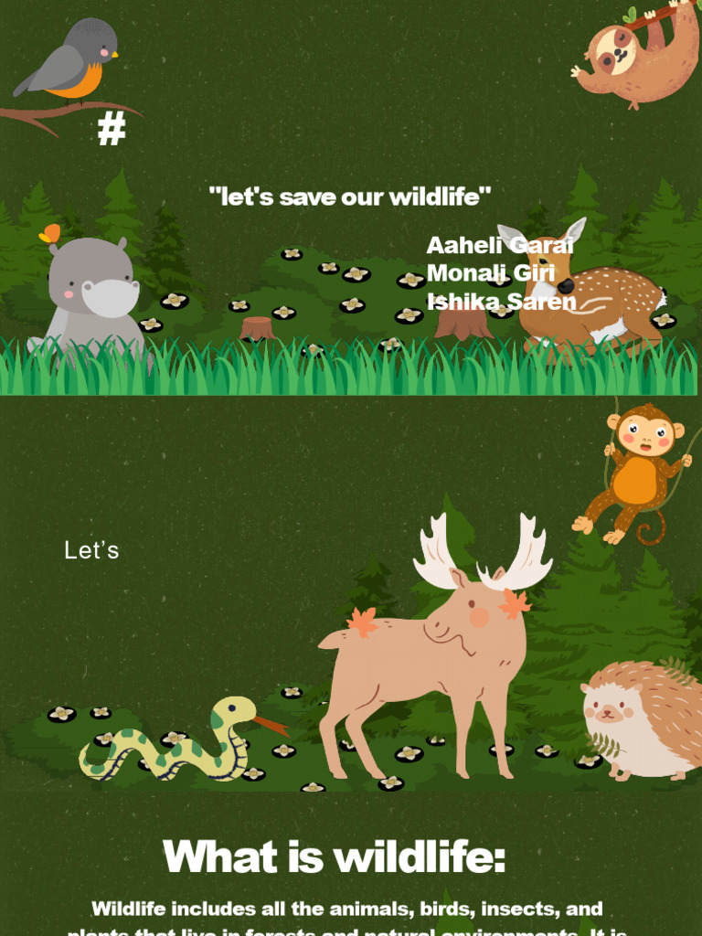 Wildlife Conservation: Protecting Nature | PDF