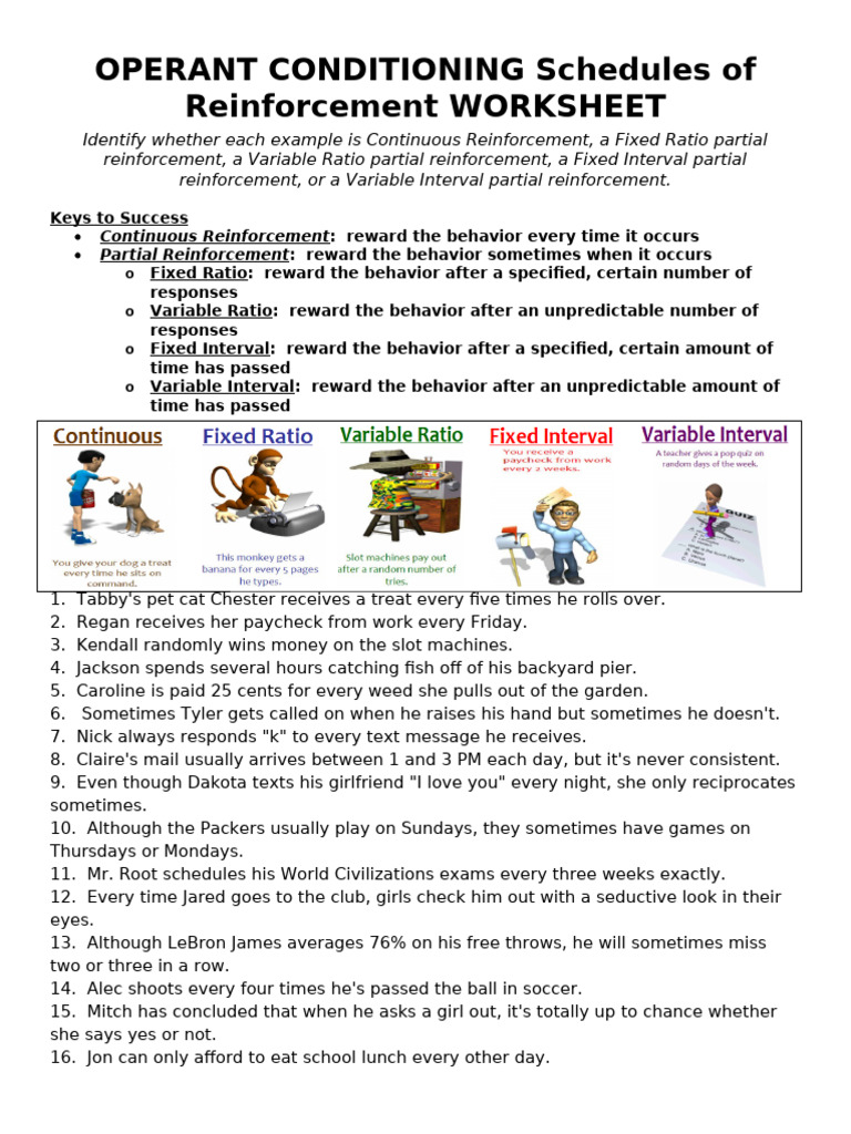 Operant Conditioning Schedules of Reinforcement Worksheet | PDF ...