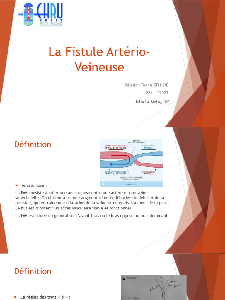 Guide sur la Fistule Artério-Veineuse | PDF | Hémostasie | Vaisseau sanguin
