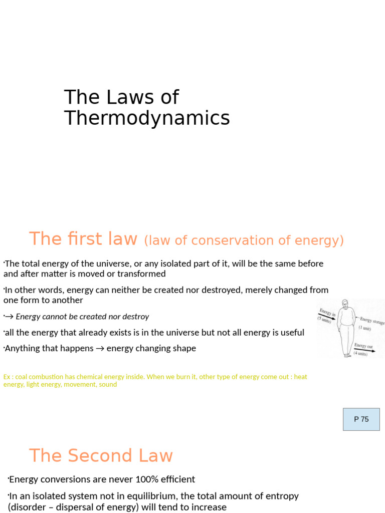 Understanding Thermodynamics Laws | PDF | Heat | Entropy