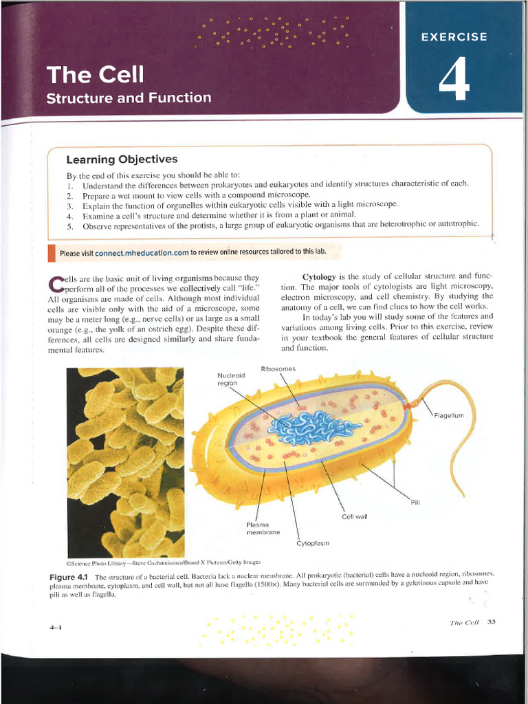 BIOL 201 Scan of The Cell Structure and Function Fall 2020 | PDF