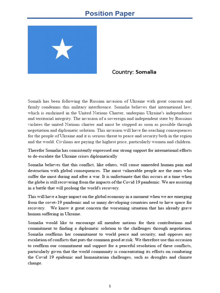 Position paper Somalia | PDF | United Nations | International Relations