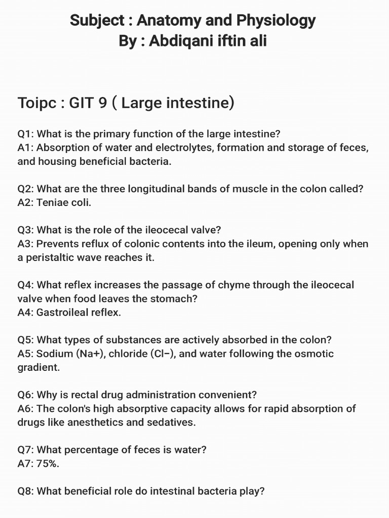 Anatomy GIT | PDF