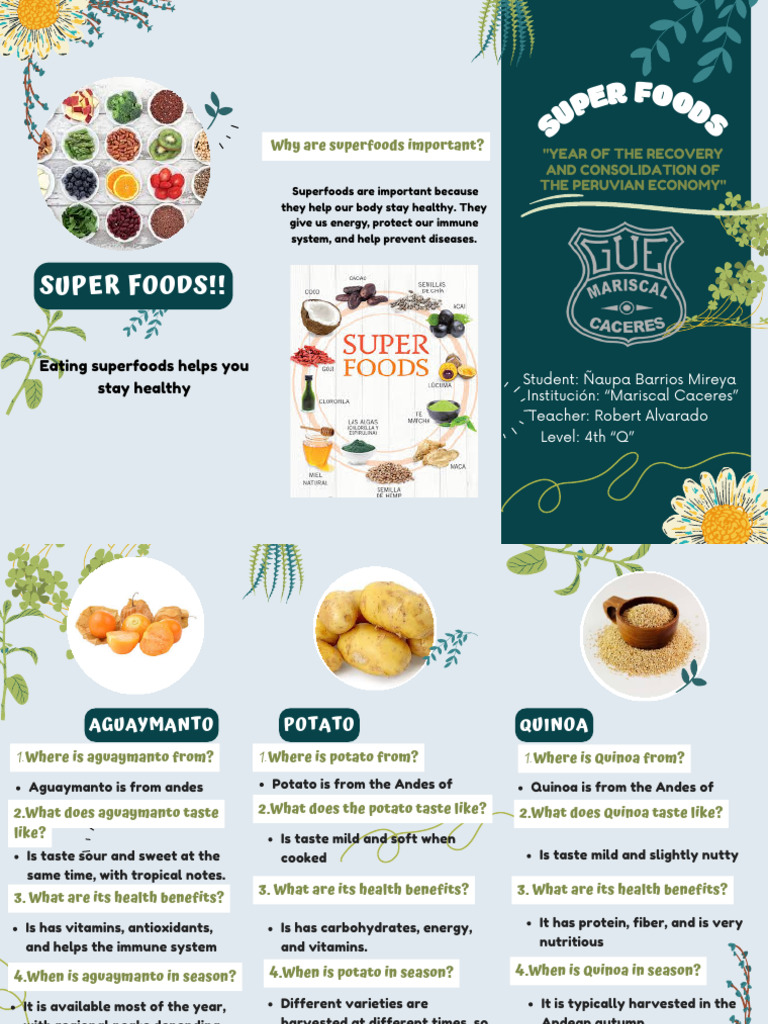 Folleto Catálogo Tienda de Plantas y Hogar Boho Azul (1) | PDF | Quinoa ...