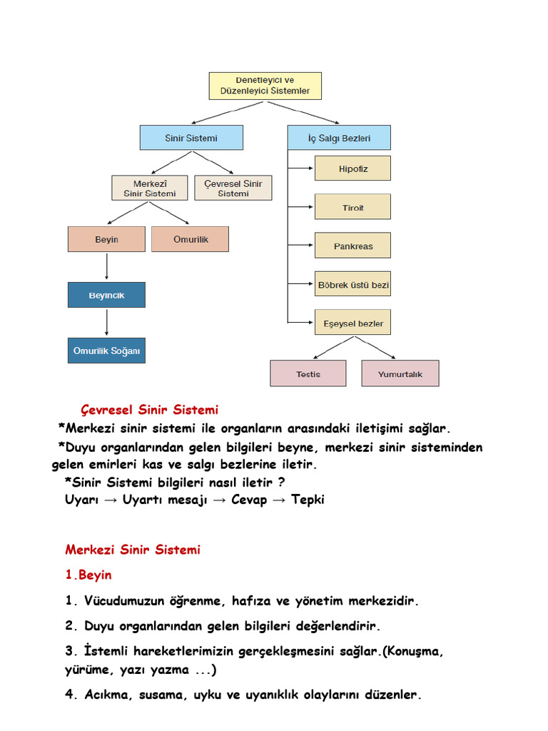Ev Odevi 1766323281 | PDF