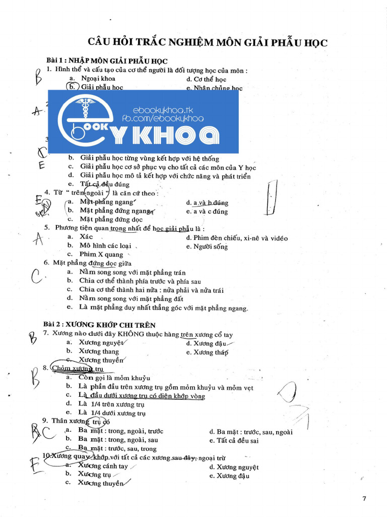 1000 Cau Hoi Trac Nghiem Giau Phau + Dap An | PDF