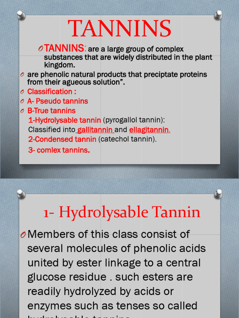 Understanding Tannins: Types and Uses | PDF