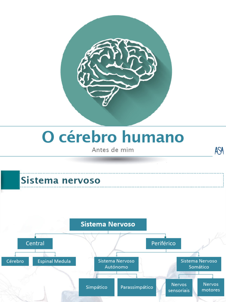 O cérebro | PDF | Neurônio | Cérebro