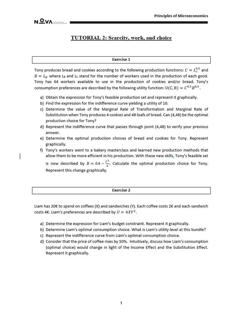 Tutorial 2 S1 2025-2026 | PDF | Utility | Economic Theories