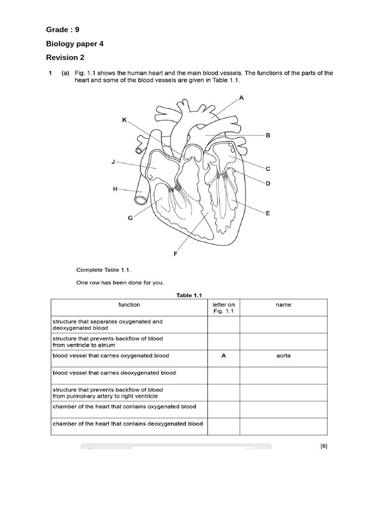 Grade 9 Biology Revision 2 for RT2 | PDF