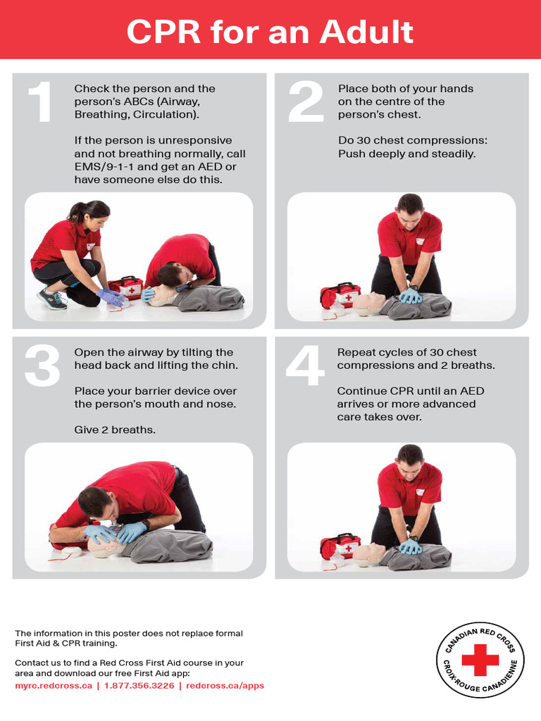 Cpr for an Adult First Aid Poster Canadian Red Cross | PDF