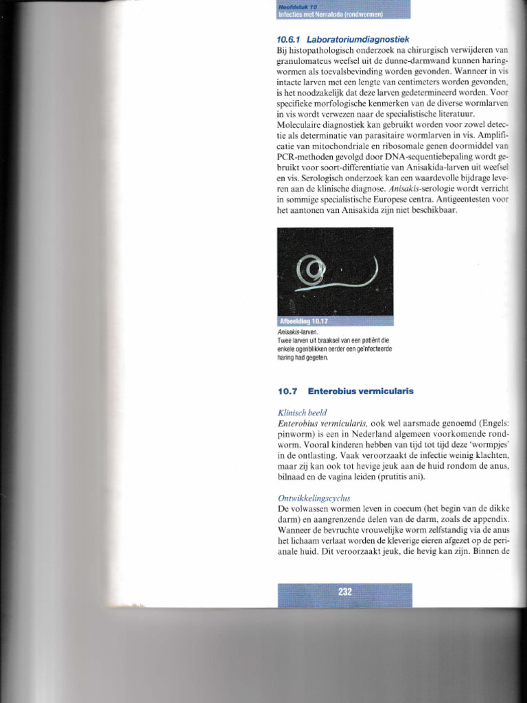 Medische Parasitol Enterobius Vermicularis | PDF