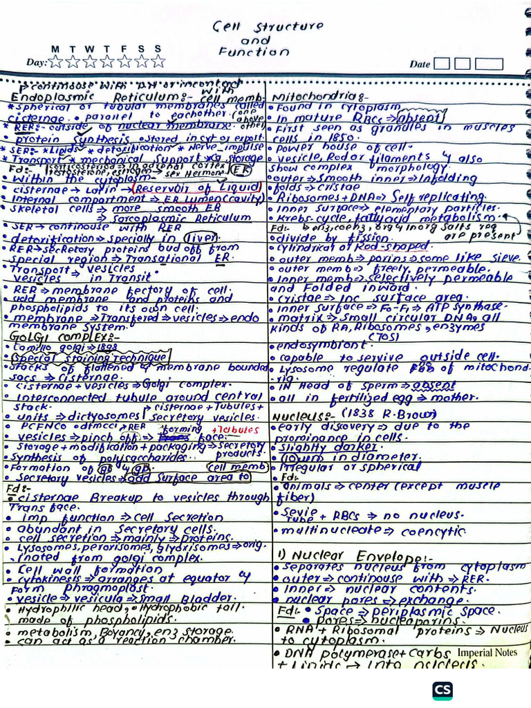 First Year Bio Short Notes | PDF