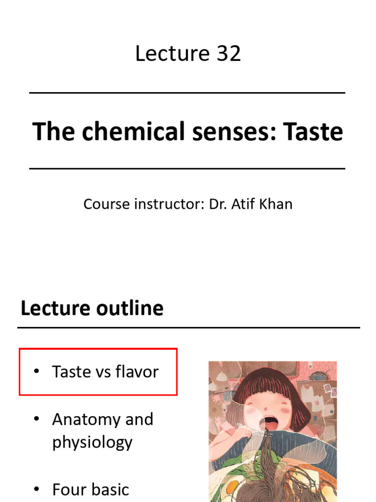 Lec 32 - CH 15 - The Chemical Senses Taste | PDF | Taste | Mouth