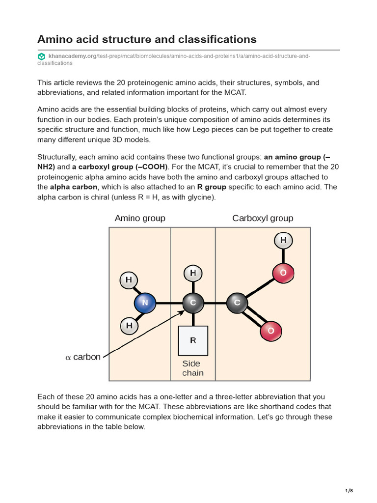 Amino Acid Structures & Classifications | PDF | Amino Acid | Biosynthesis