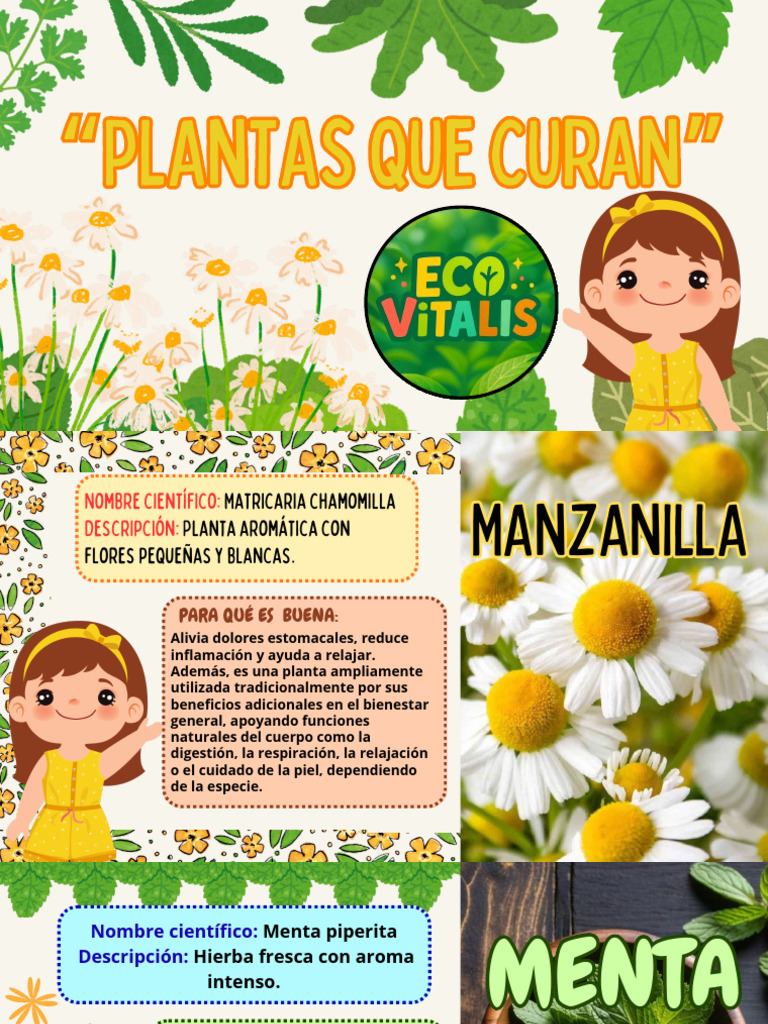 Presentación Proyecto Naturaleza Ciencia Plantas Orgánico Verde (2 ...