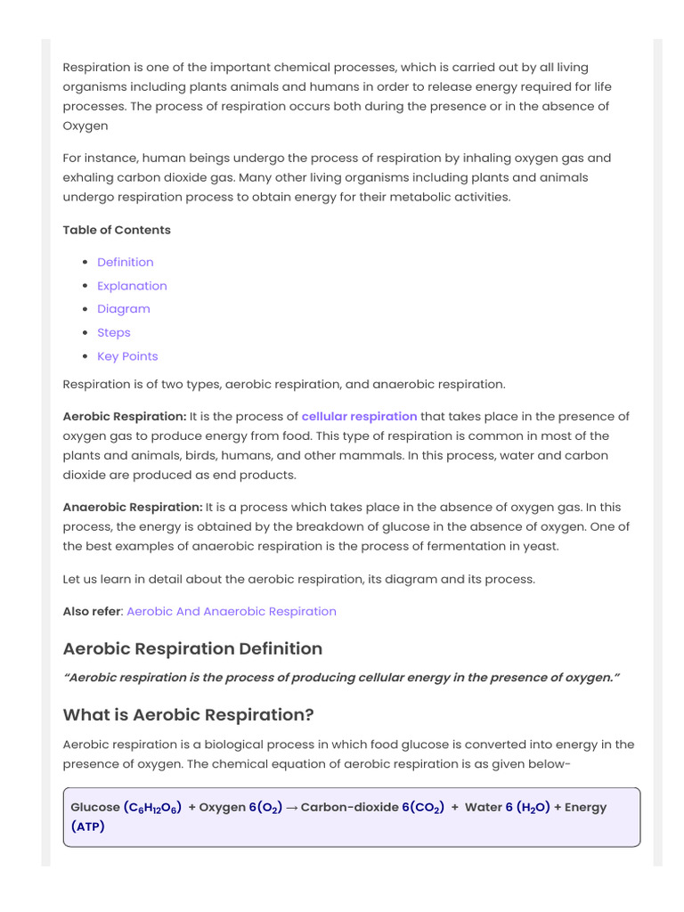 Aerobic Respiration Explained: Process & Steps | PDF | Cellular ...