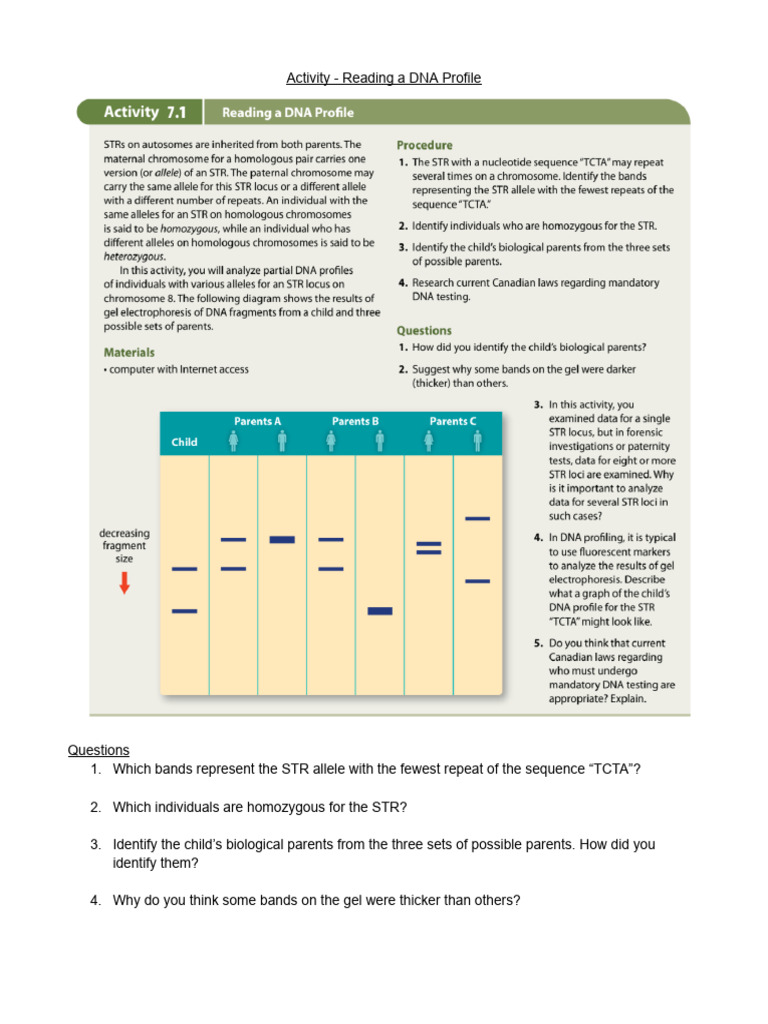 Activity - Reading a DNA Profile | PDF