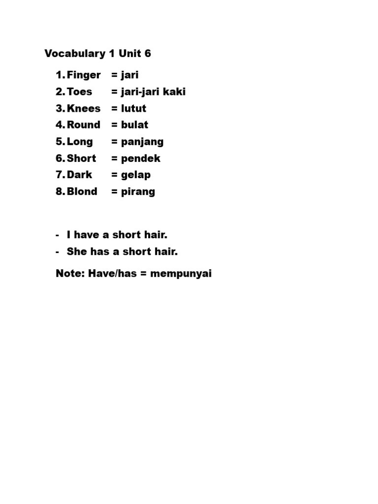 English; Vocabulary 1 Unit 6 | PDF