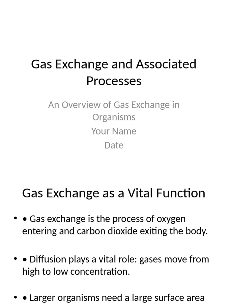Overview of Gas Exchange Processes | PDF | Lung | Breathing