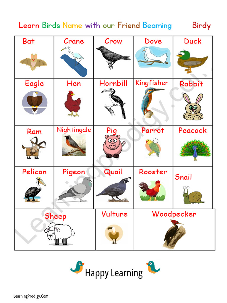 Birds Chart.pdf | PDF
