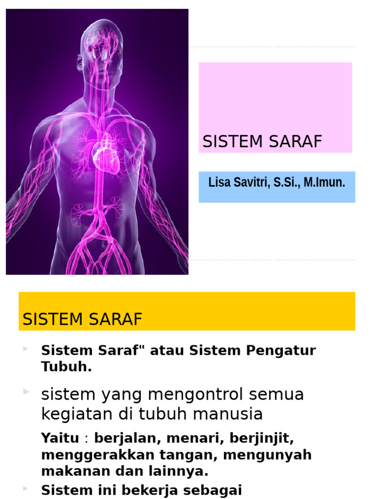 Struktur dan Fungsi Sistem Saraf Manusia | PDF