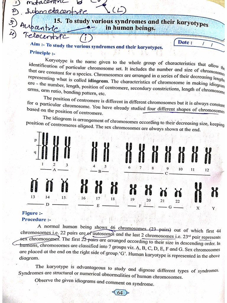 Biology Practical - Write Up | PDF