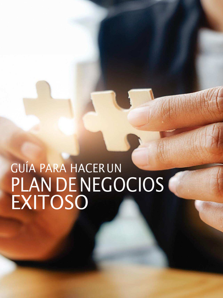 ebook-plan-de-negocios | PDF | Plan de negocios | Análisis FODA