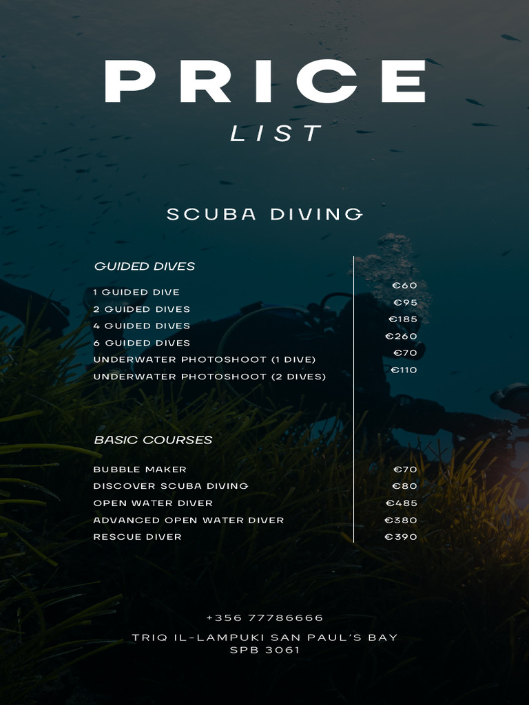 Price List Discover The Blu Scuba Diving | PDF