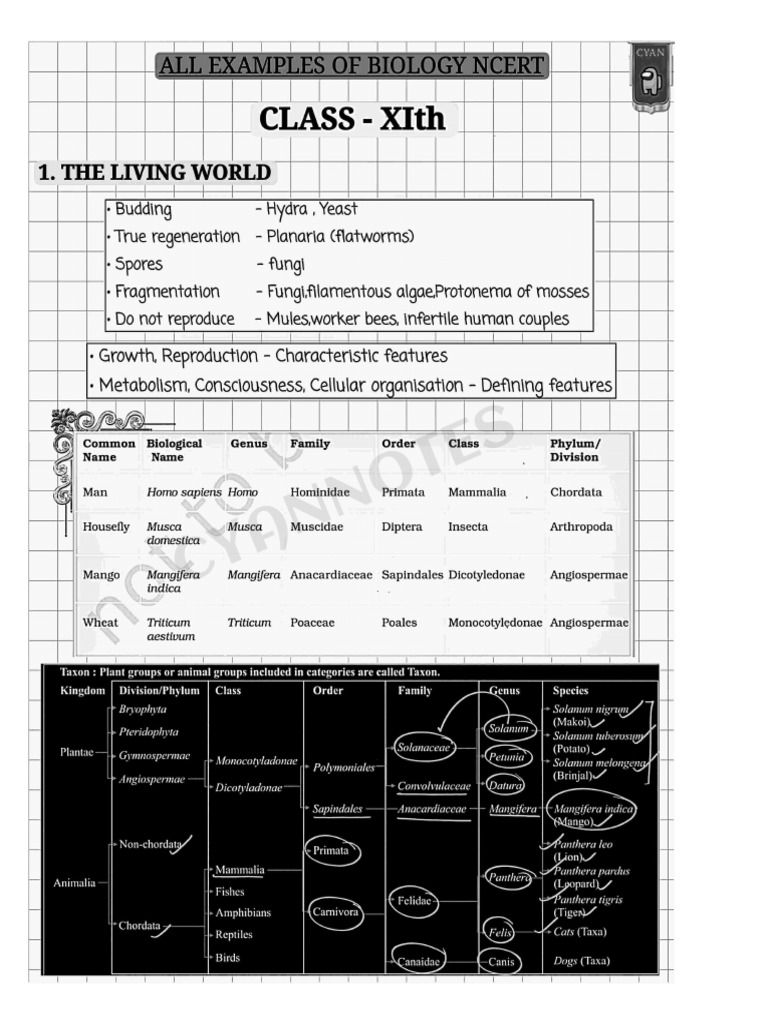 Printable Biology Ncert All Examples(CYAN) | PDF