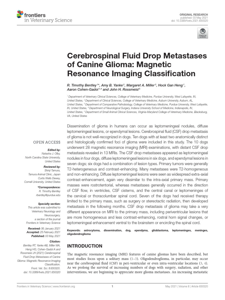 Canine Glioma CSF Drop Metastasis MRI Analysis | PDF | Cerebrospinal ...