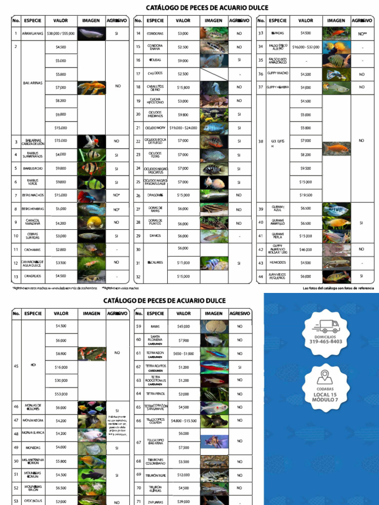 Catálogo de Peces de Acuario Dulce | PDF