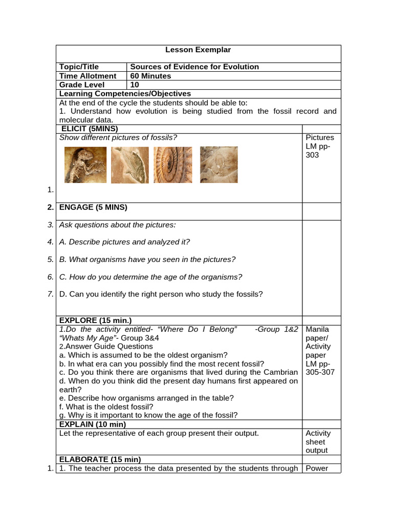 11_BIO-Understand How Evolution is Being Studied From the Fossil Record ...