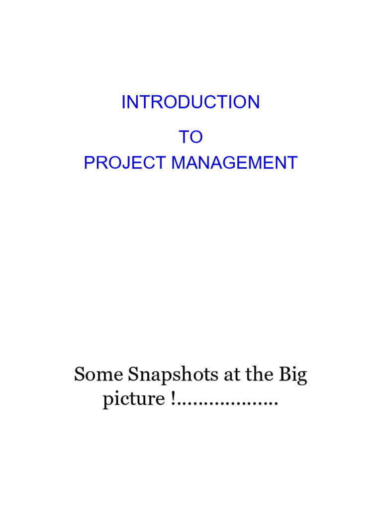 Proj_Intro | PDF | Project Management | Business