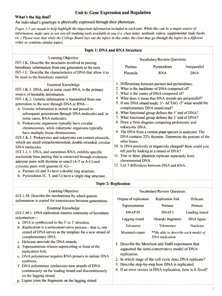 KEY Unit 6 Packet | PDF | Agarose Gel Electrophoresis