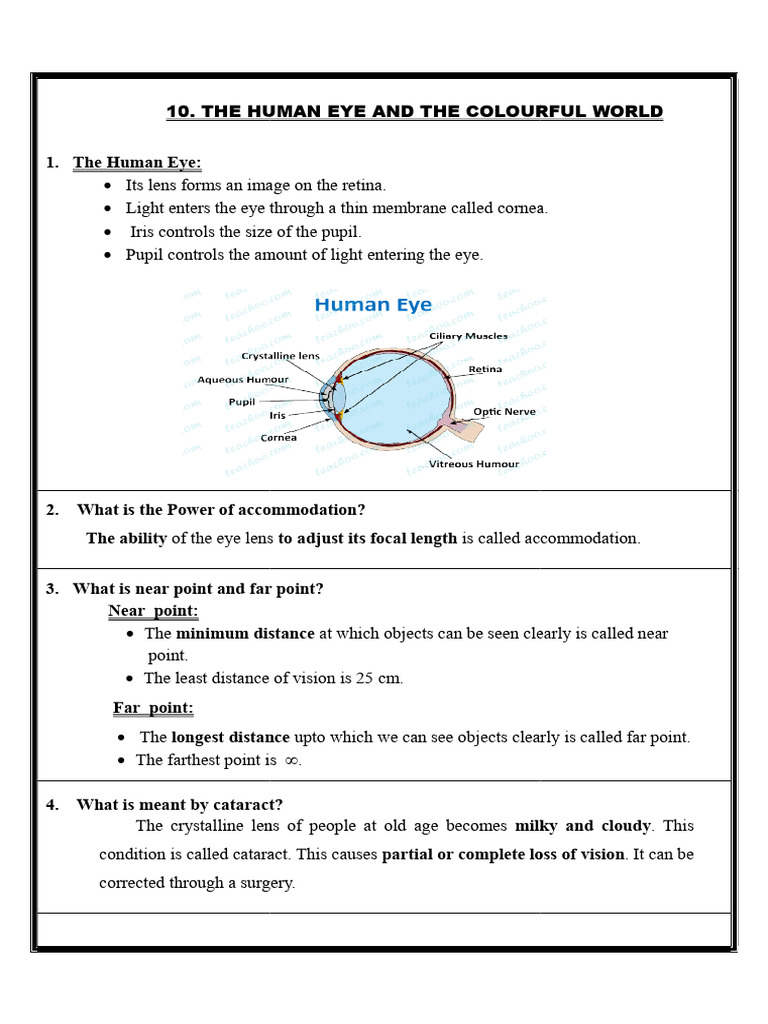 Understanding the Human Eye and Vision | PDF | Rainbow | Myopia