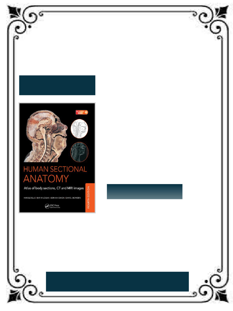 Human sectional anatomy atlas of body sections CT and MRI images 4th ...