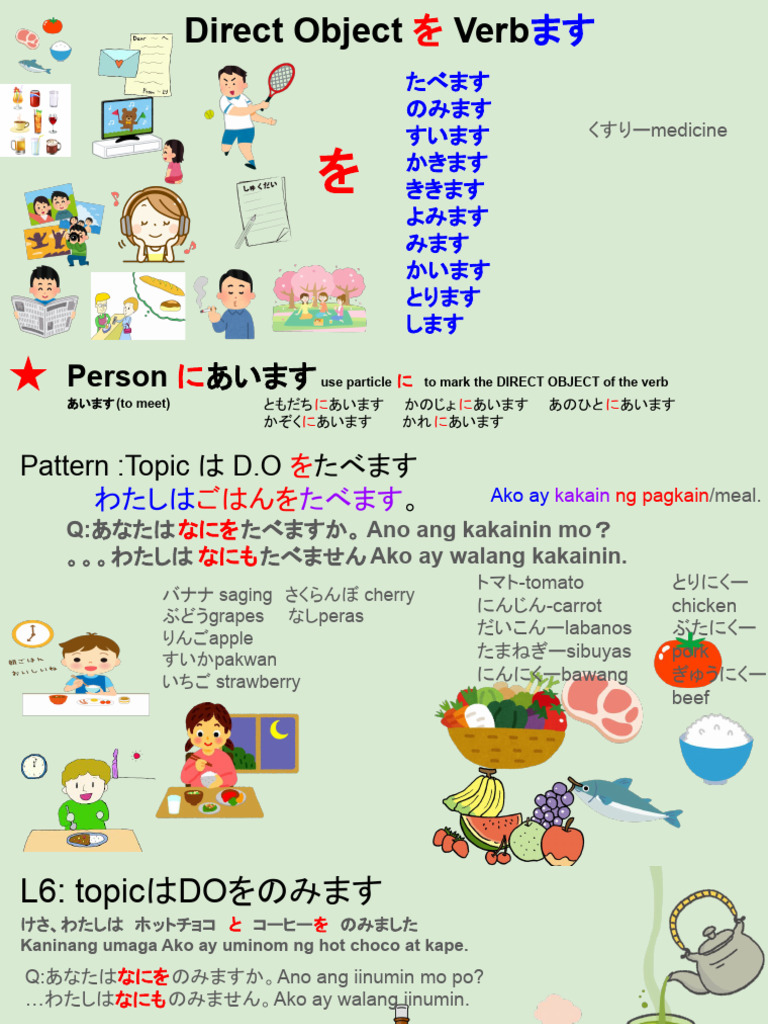 Direct Object and Transitive Verb in Japanese | PDF
