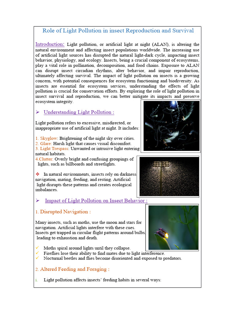 Role of Light Pollution in Insect Reproduction And | PDF | Insects ...