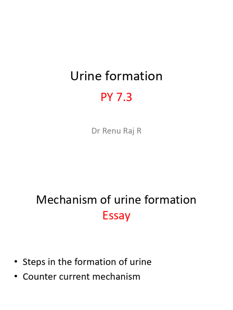 Urine Formation and GFR Mechanisms | PDF
