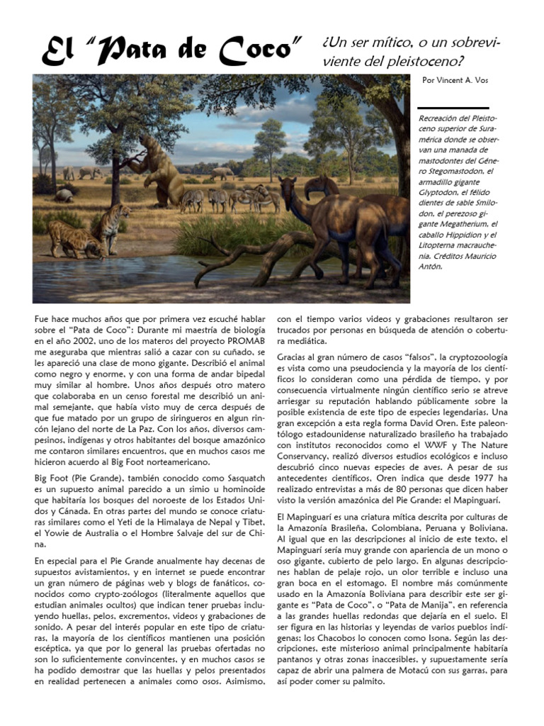 Vincent_Patadecoco | PDF | Pie Grande | Yeti