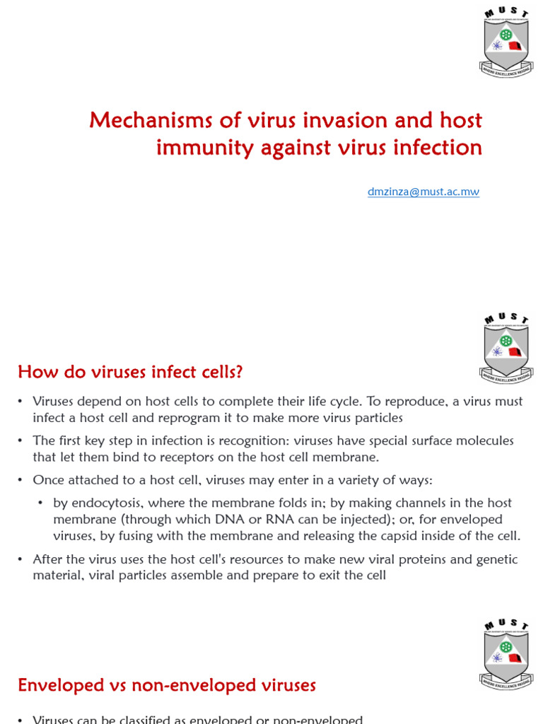 Virus Invasion Mechanisms and Immunity | PDF | Virus | Cytotoxic T Cell