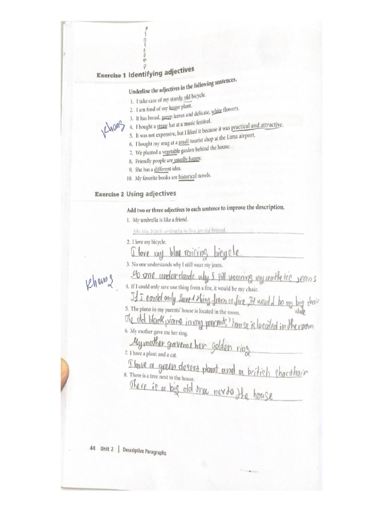 Exercise 1 Identifying Adjectives | PDF
