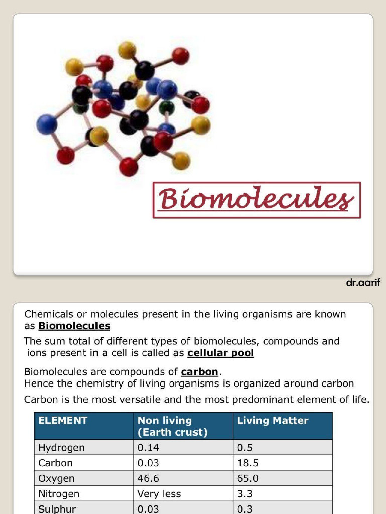 Biomolecules (1) | PDF